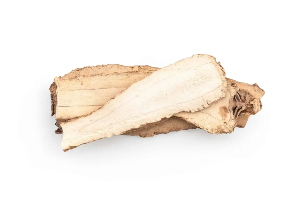 Astragalus Extract (Astragalus membranaceus) - NaturMed Scientific