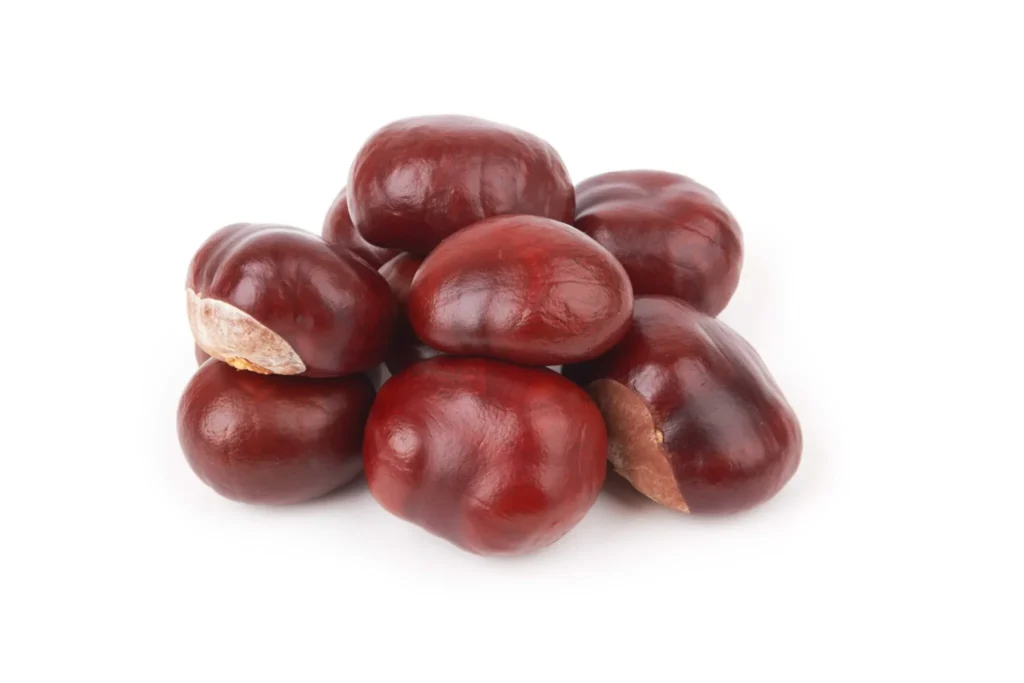 Dondoo ya Chestnut ya Farasi (Aesculus hippocastanum) - NaturMed Scientific
