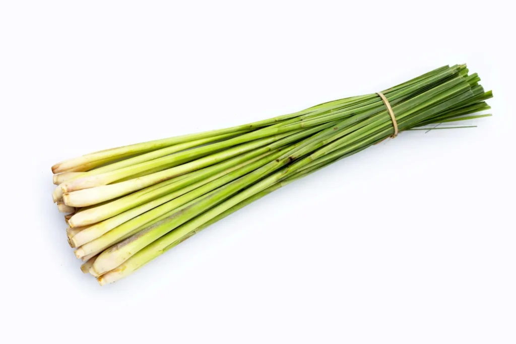 Katundu wa Lemongrass (Cymbopogon citrate) - NaturMed Scientific