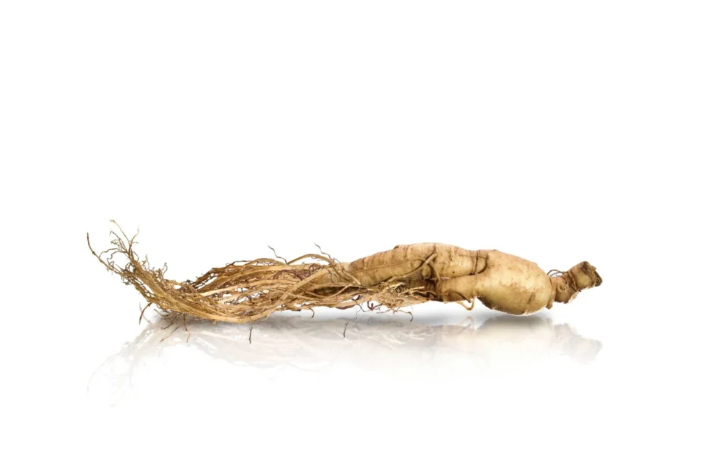 Panax Ginseng Extract (Panax ginseng) - NaturMed Scientific