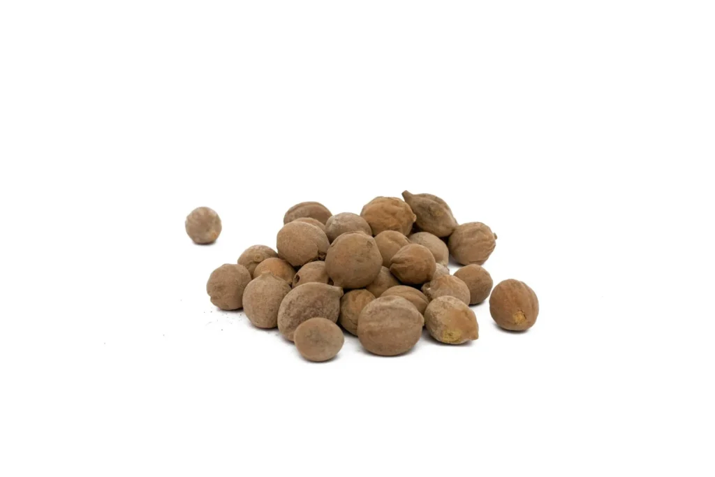 Ekstrak Terminalia Bellerica (Terminalia bellerica) - NaturMed Scientific