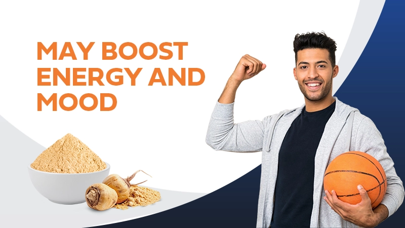 Maca Kökünün 4 Faydası ve Olası Yan Etkileri - NaturMed Scientific