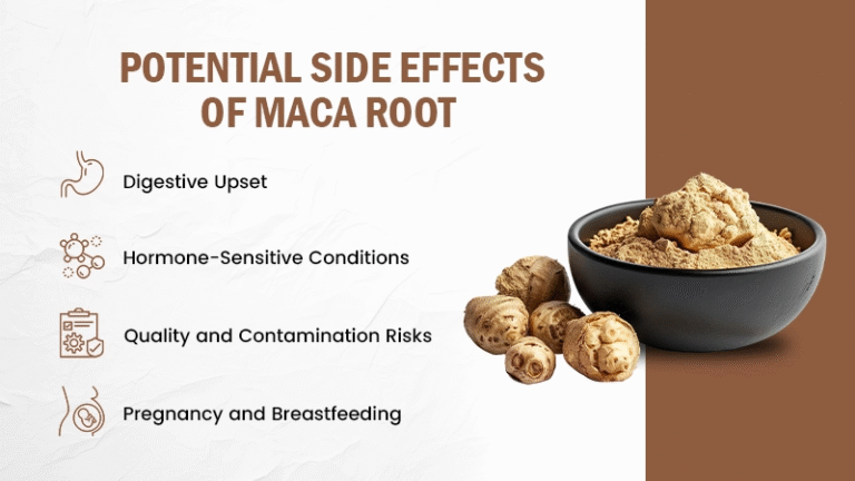 4 bienfaits de la racine de maca et effets secondaires potentiels ...
